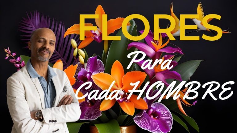 Las Mejores Flores para Sorprender a tu Novio en su Cumpleaños - Todo ...